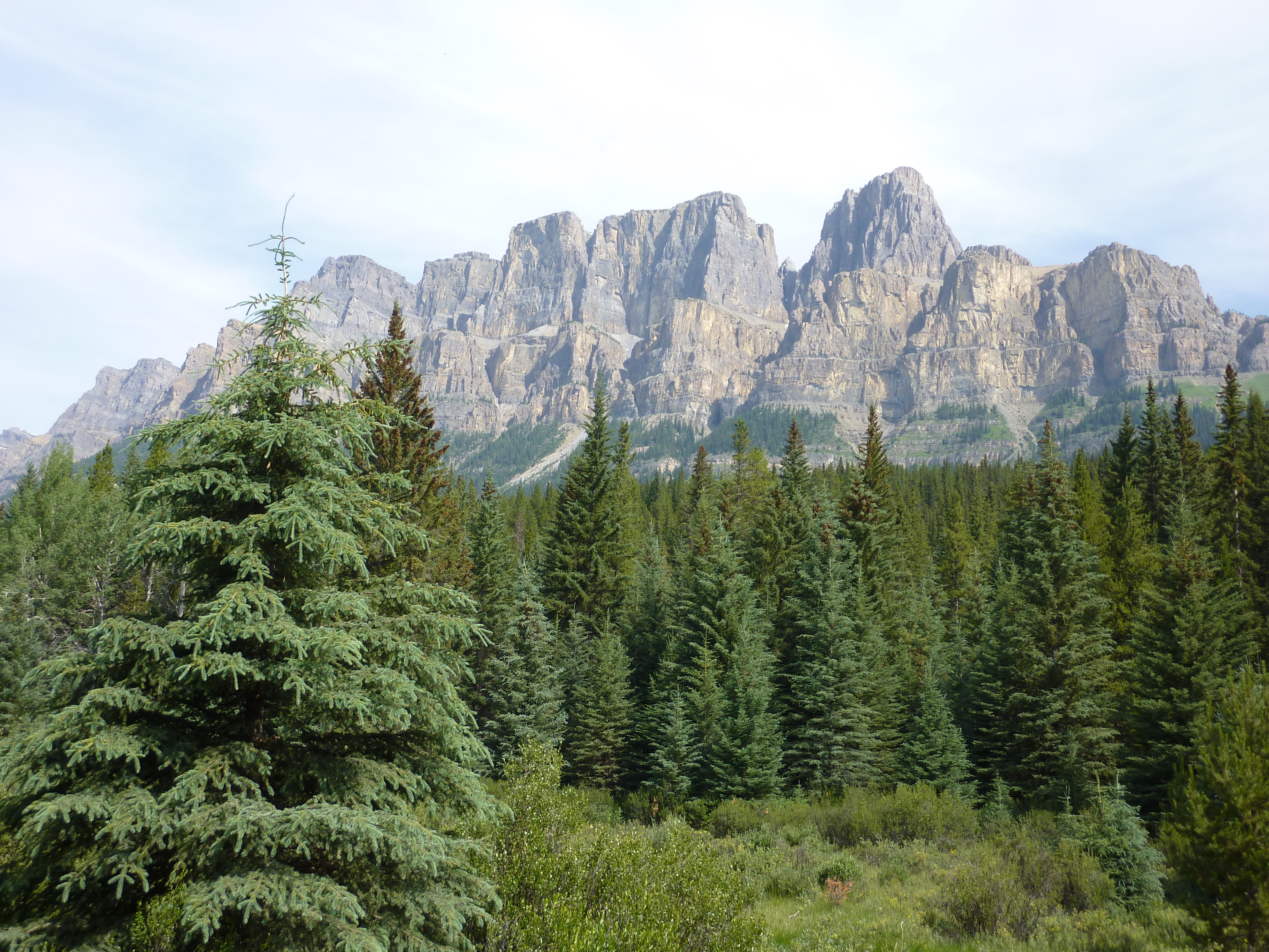 Castle Mountian